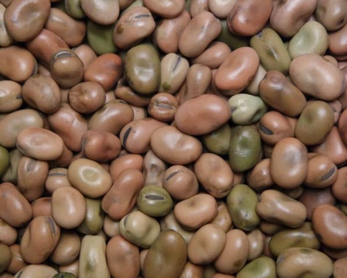 Mojo Wish Beans Simple Magickswith Powerful Result Great - Etsy