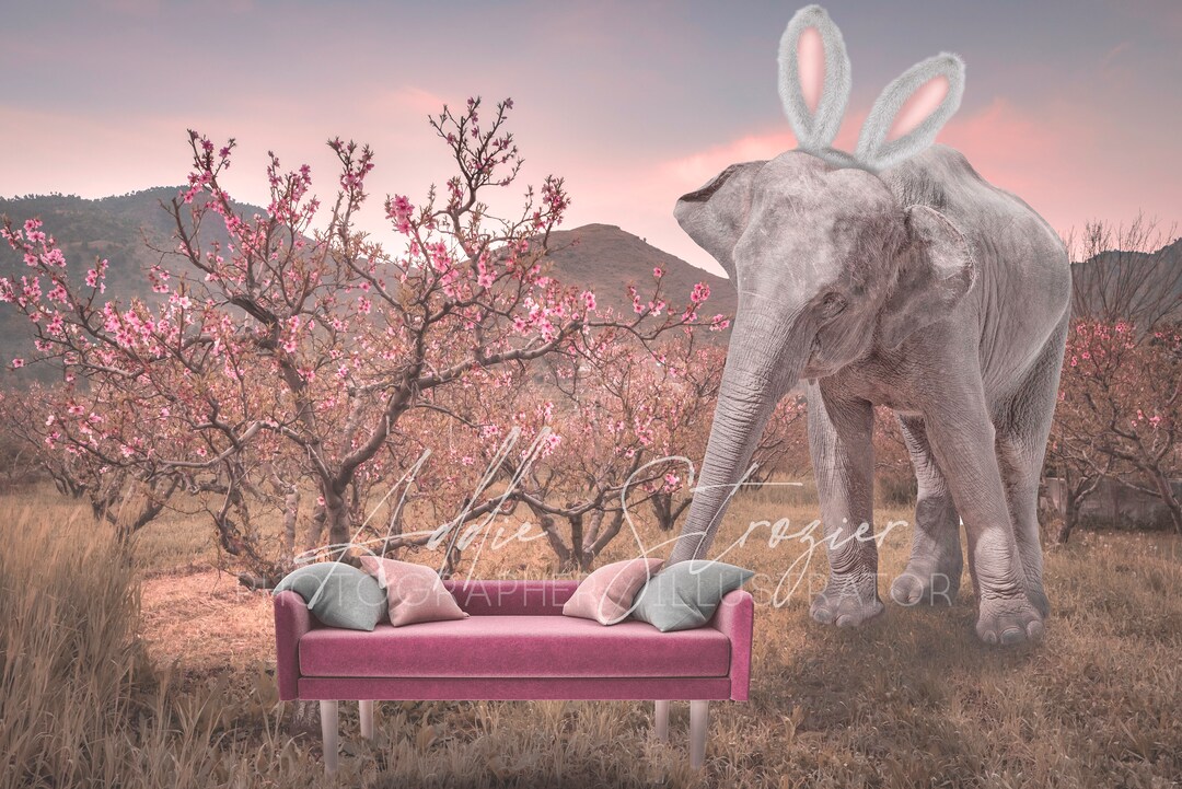 Spring Elephant Funny Bunny Digital Background | Photography Easter ...