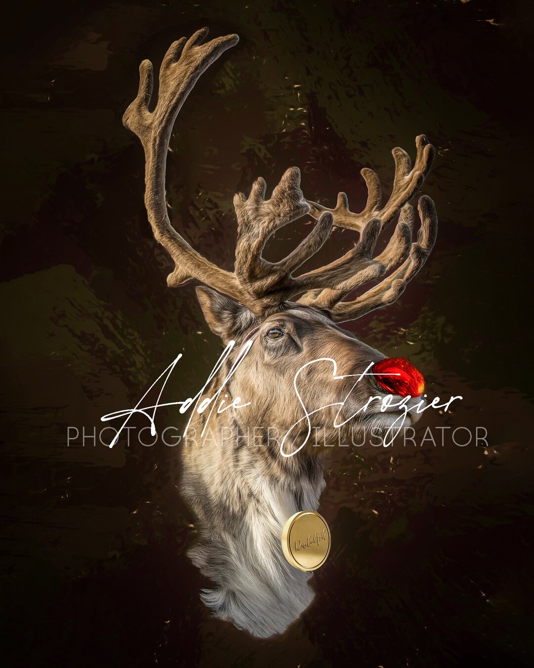 Rudolph Portrait Real Life ... Digital Image for Printing on Your Own ...