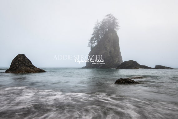 La Push Washington Twilight