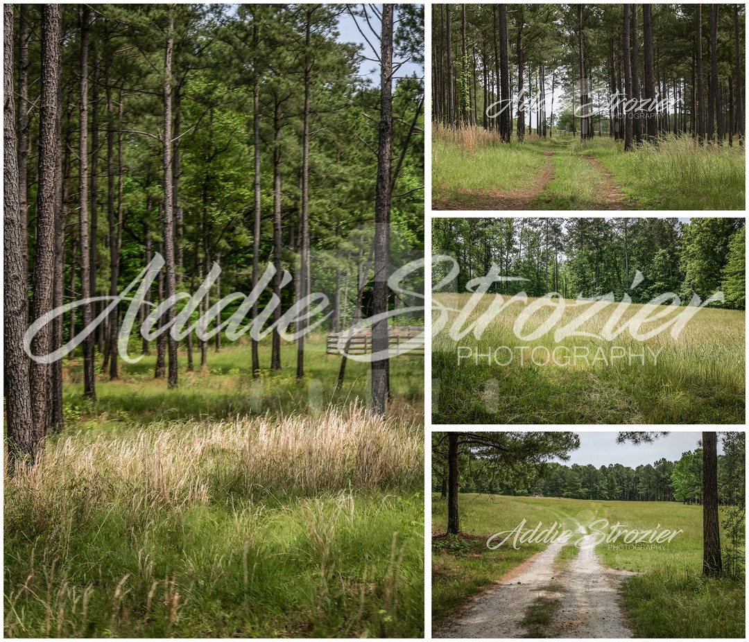 Country Digital Background Backdrop - 4 Images of Country Dirt Road ...
