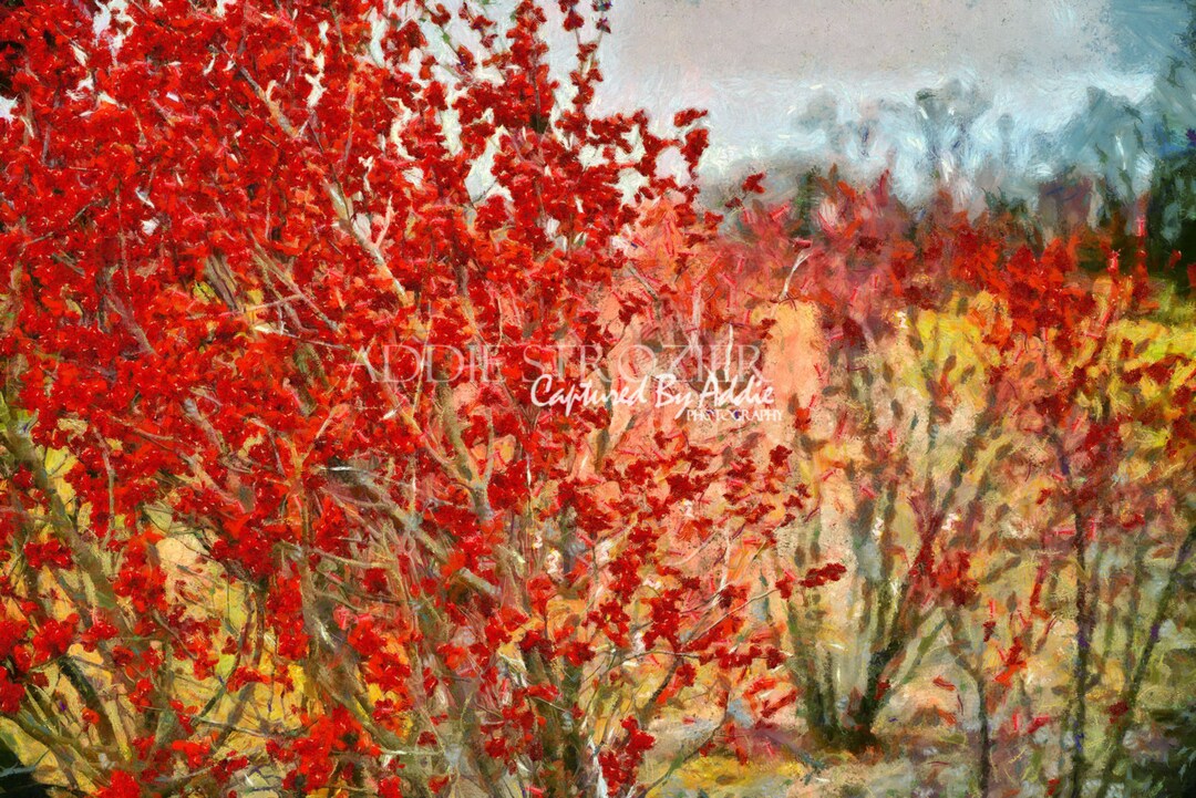 Red Berries / Trees Rural Farm Wall Art Branches Digital Paint Print - Etsy