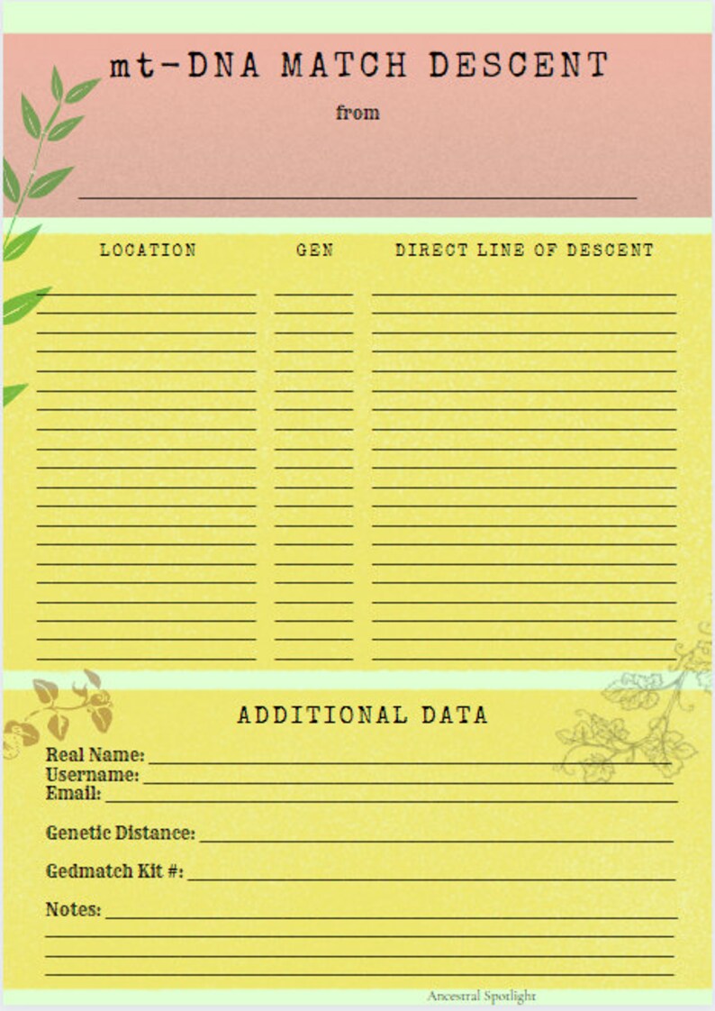 DNA Connections Tracker 3-pack BUNDLE 6-page Genealogy Organization ...
