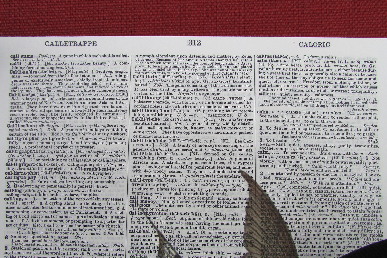 Dictionary Art Bird Print Dictionary Page 1917 Webster's 8 X 11 Inches ...