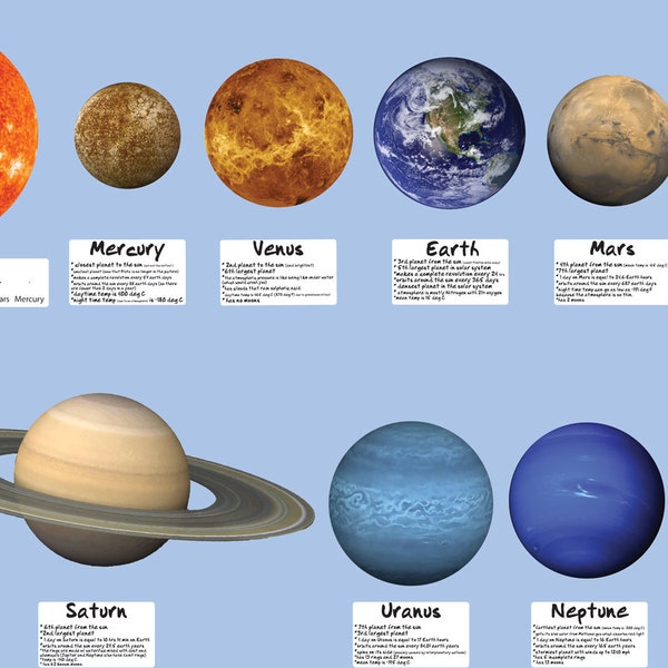 Science Wall Decals - Etsy