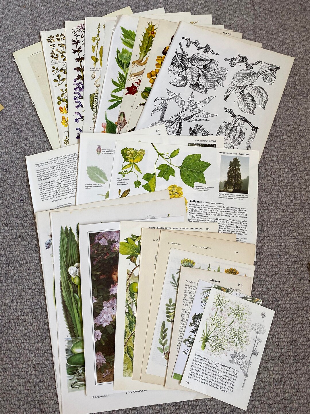 Vintage Assorted Large Paper Pack Over 100 Pages - Etsy