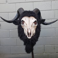 Goat Skull - Etsy