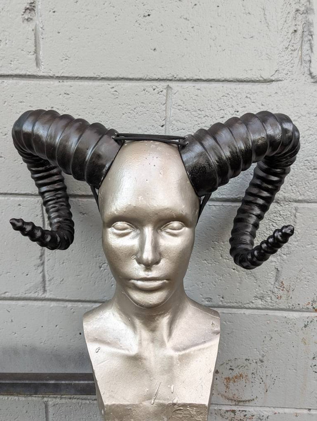 Ridged Ram Horns Large - Etsy