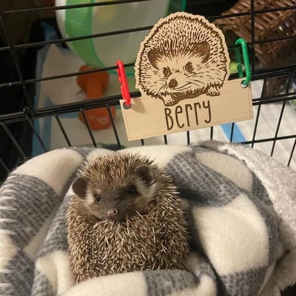 Hedgehog Accessories - Etsy