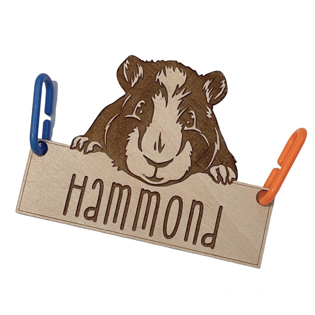 Guinea Pig Cage Tag, Personalized, Custom, Engraved Wood, Pet Guinea ...