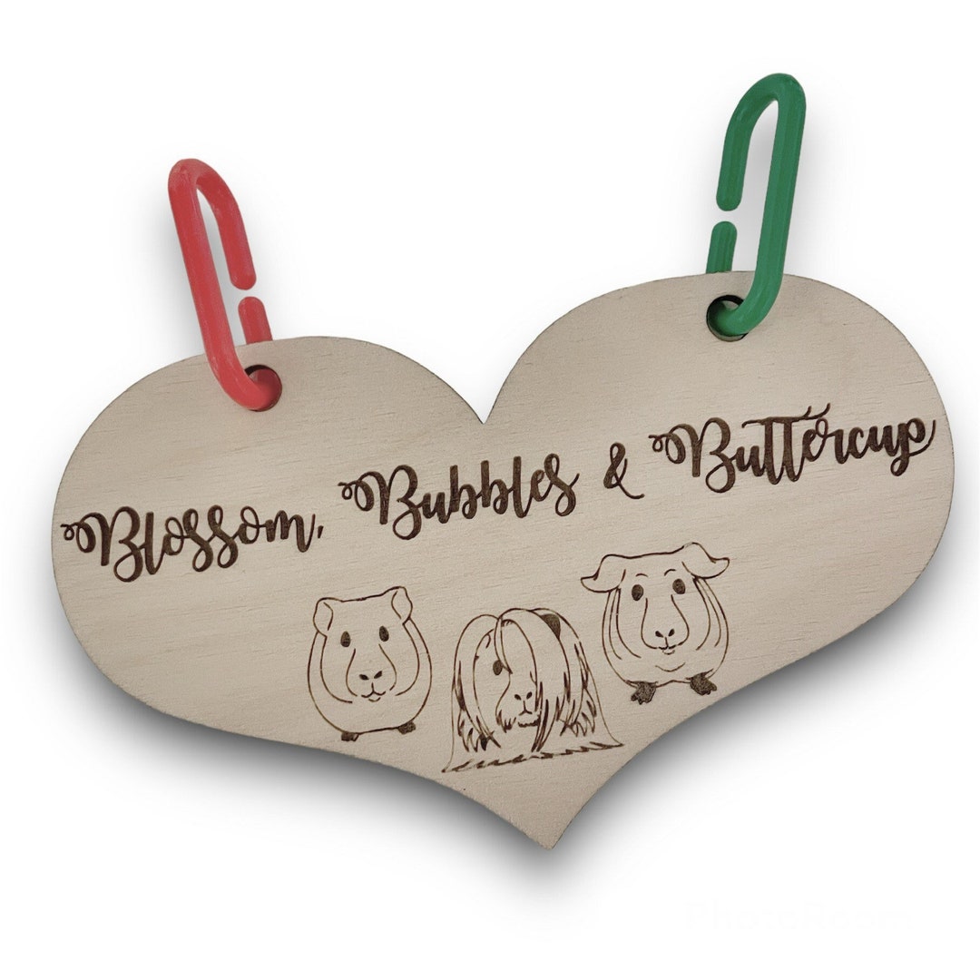 Guinea Pig Cage Tag, Personalized, Custom, Engraved Wood, Pet Guinea ...