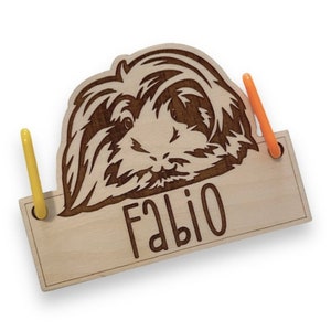 Guinea Pig Cage Tag, Personalized, Custom, Engraved Wood, Pet Guinea ...
