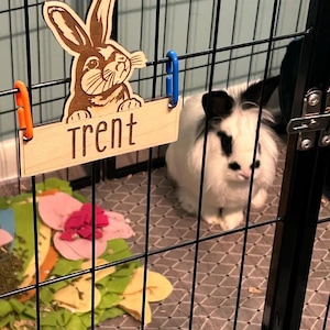 Bunny Rabbit Cage Tag, Personalized, Custom, Engraved Wood, Pet Rabbit ...