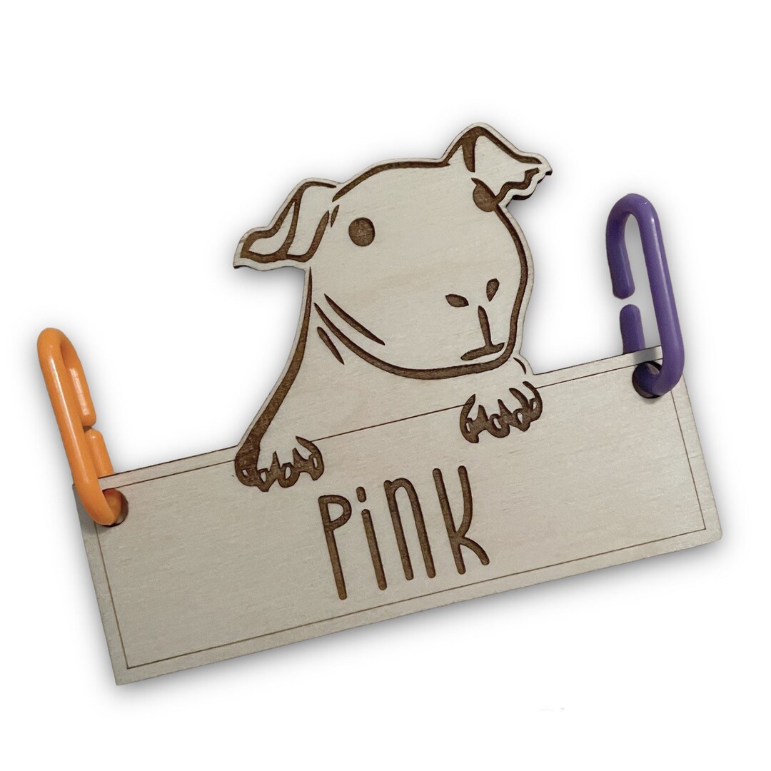 Skinny Pig Cage Tag, Personalized, Custom, Engraved Wood, Pet Guinea ...