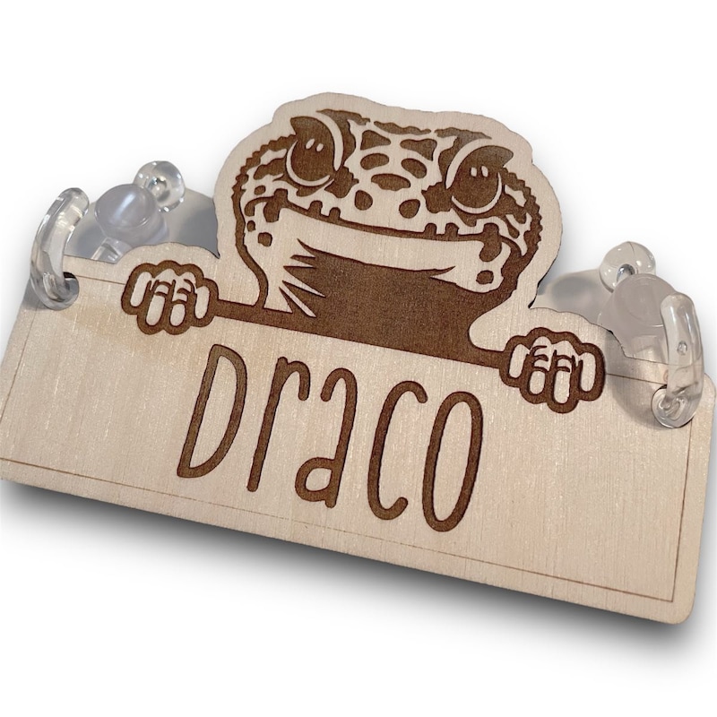 Custom Reptile Name Signs - Etsy