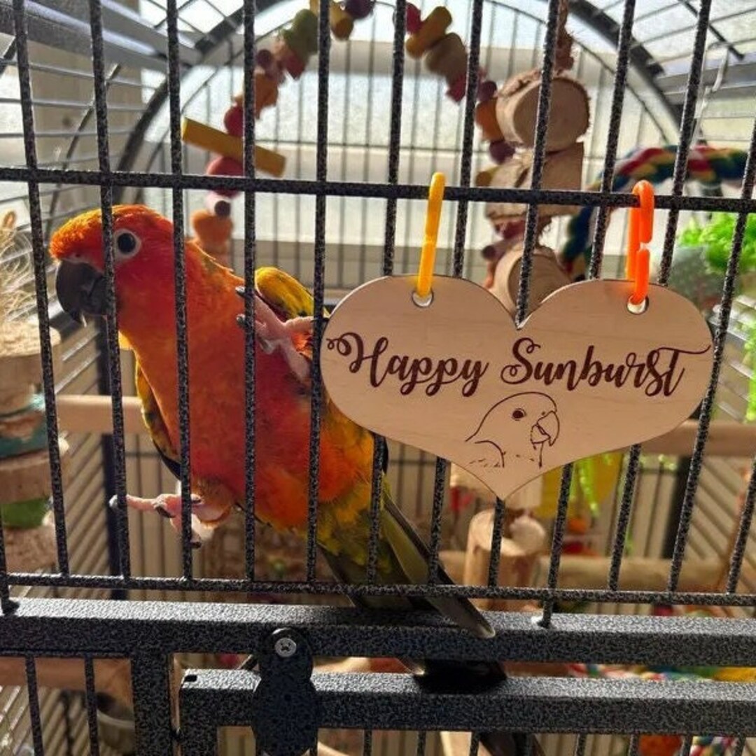 Conure Bird Cage Tag, Personalized, Custom, Engraved Wood, Pet Bird ...