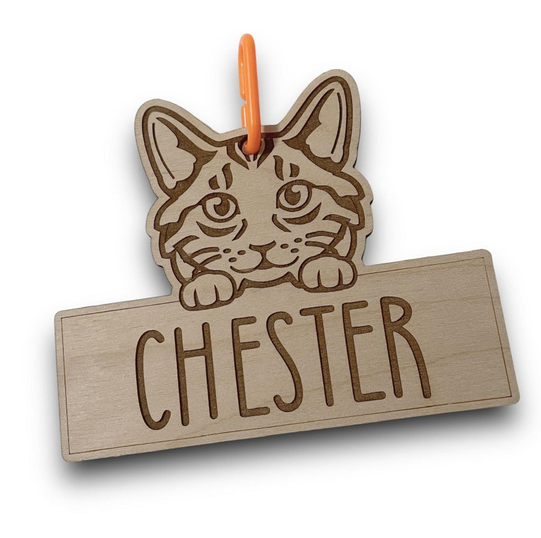 Cat Carrier Name Tag, Kennel Tag, Crate Tag, Vet Visit, Pet Carrier ...