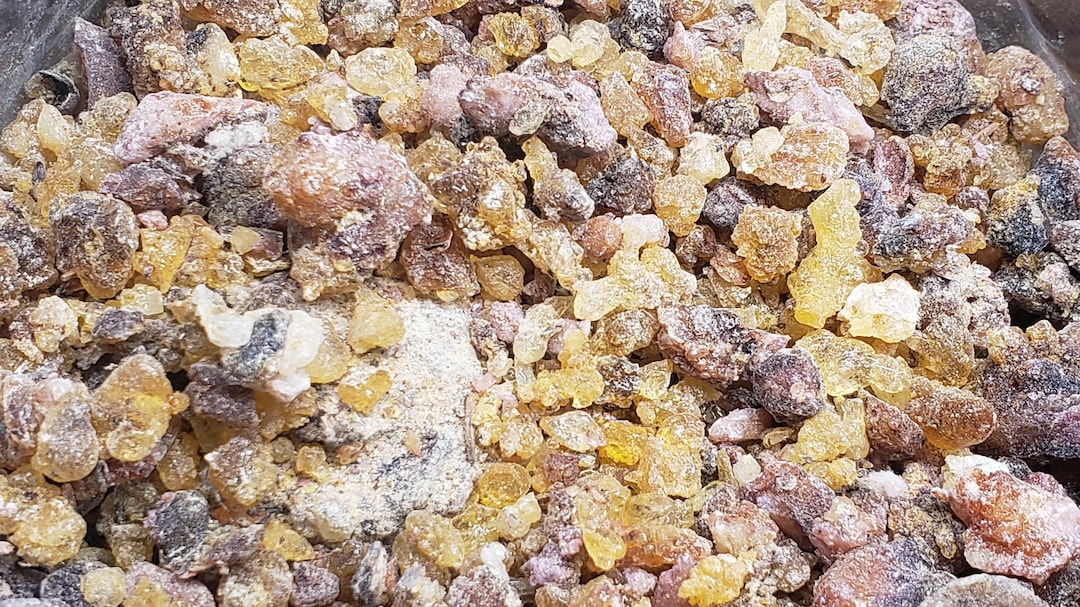 Spruce Sap/ Pitch (raw) 5lb. - Etsy