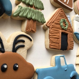 Adirondacks Themed Sugar Cookies, Mountain, Hiking, Cabin, Birthday ...