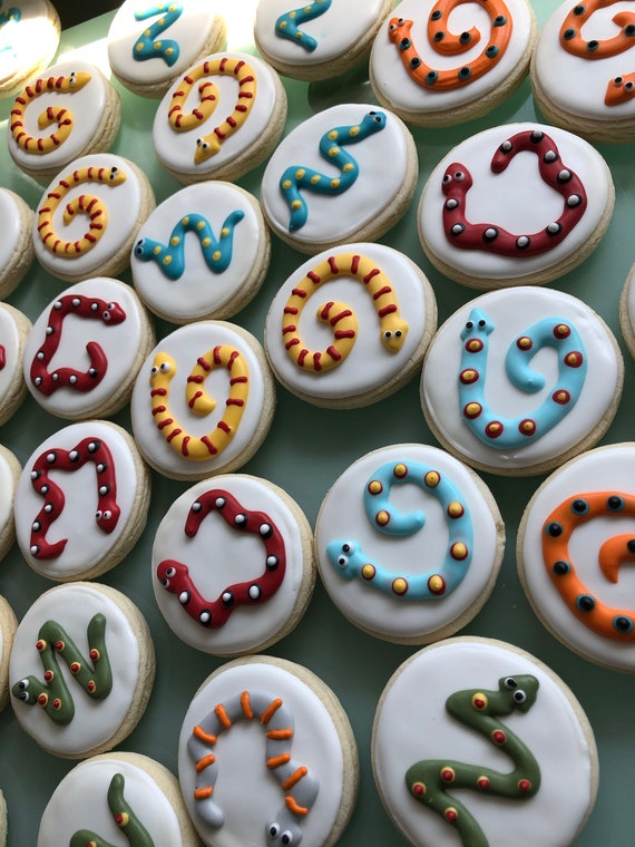 Snake Themed Sugar Cookies Reptile Sugar Cookies - Etsy