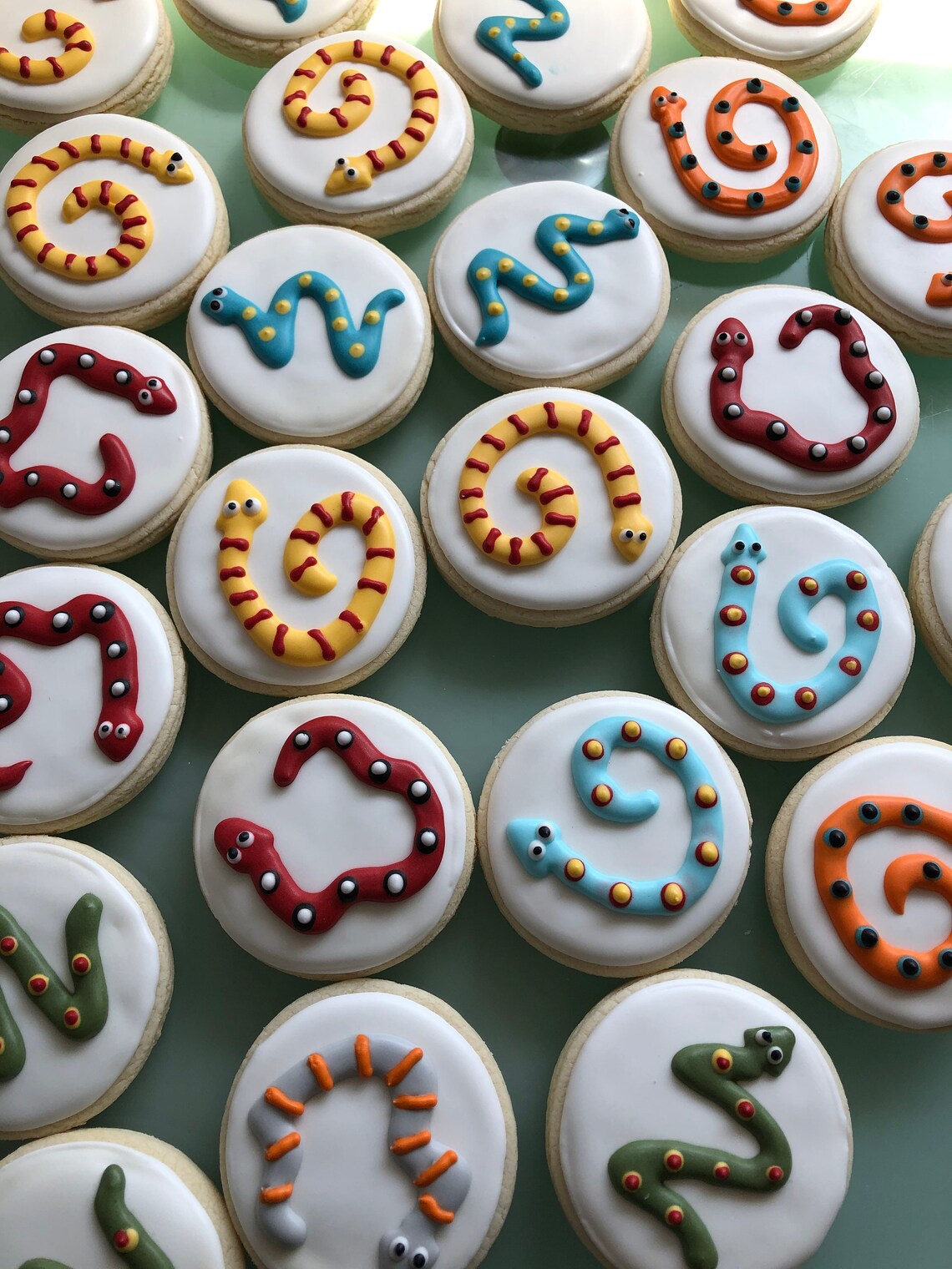 Snake Themed Sugar Cookies Reptile Sugar Cookies | Etsy