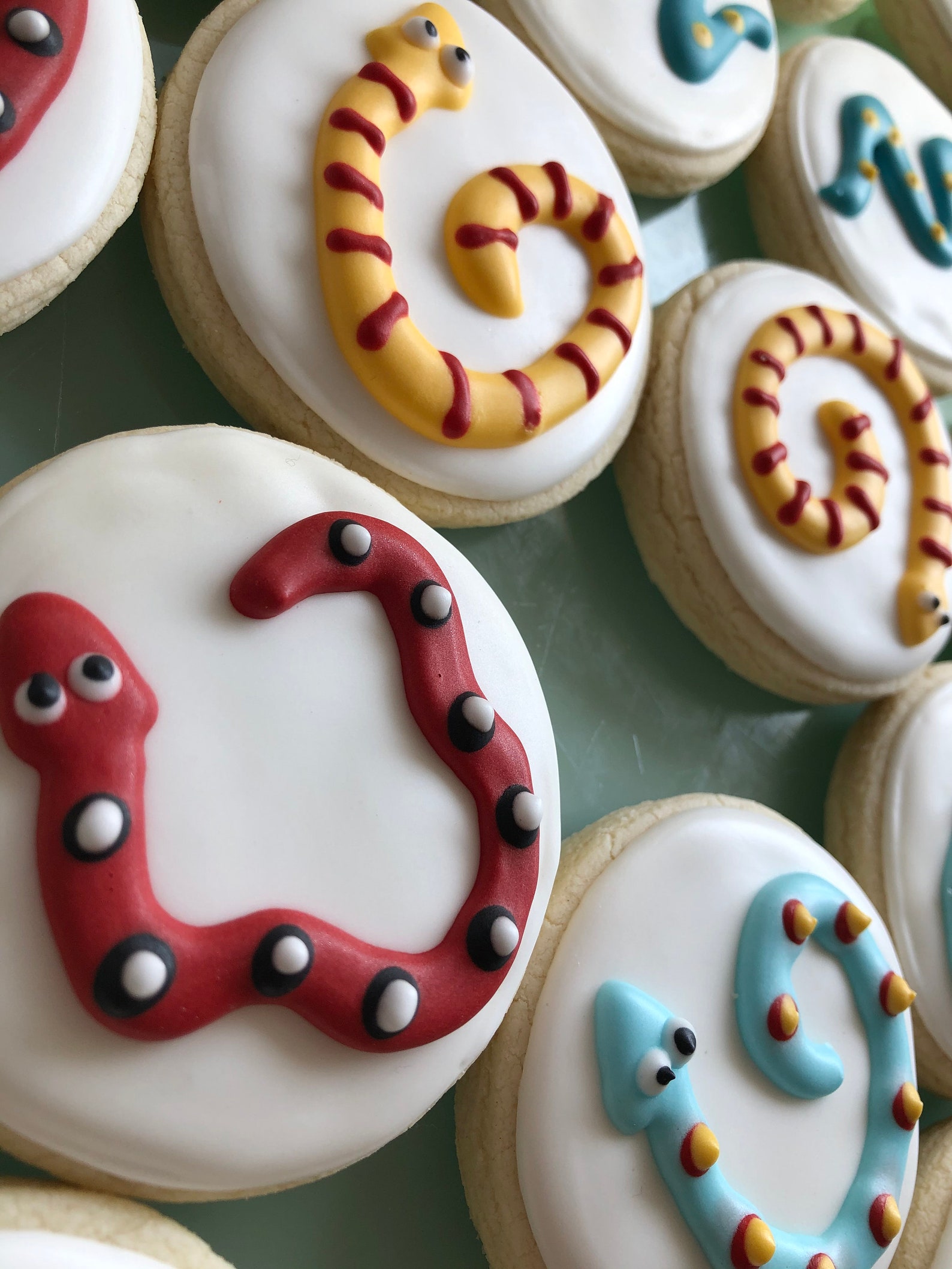 Snake Themed Sugar Cookies Reptile Sugar Cookies | Etsy