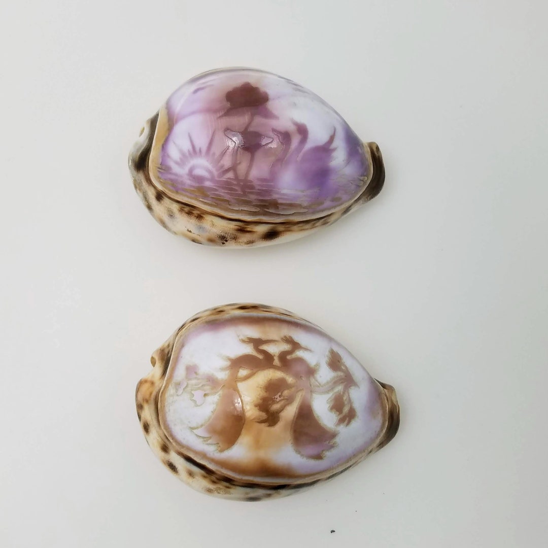 Vintage Carved Shells, Carved Cowrie Shells, Lovebirds and Swans, Set ...