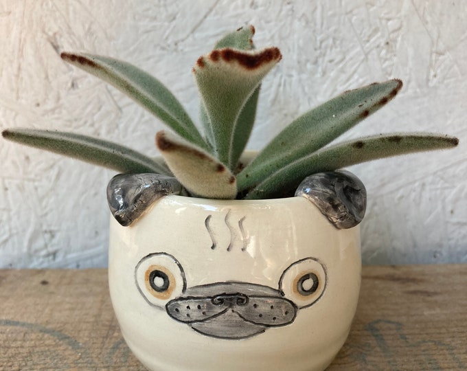 Pug Succulent Planter - Etsy