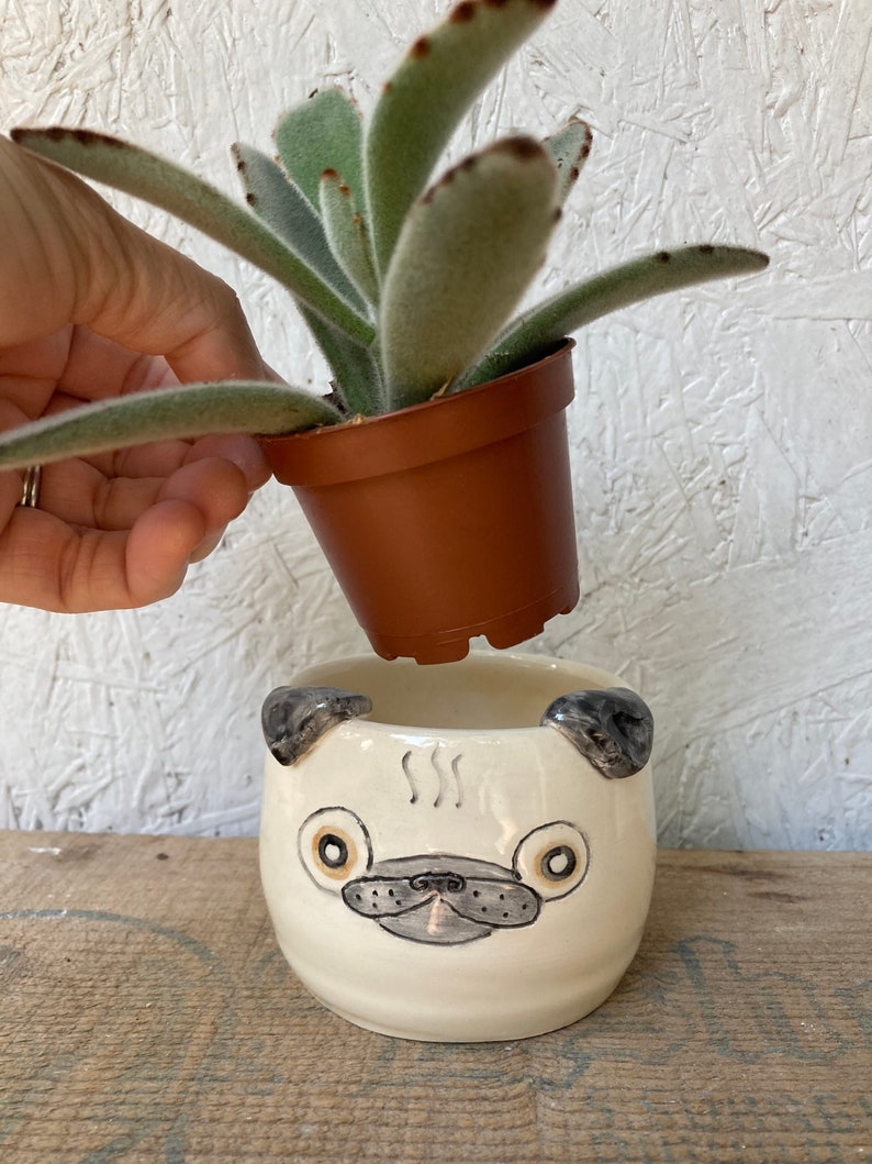Pug Succulent Planter - Etsy