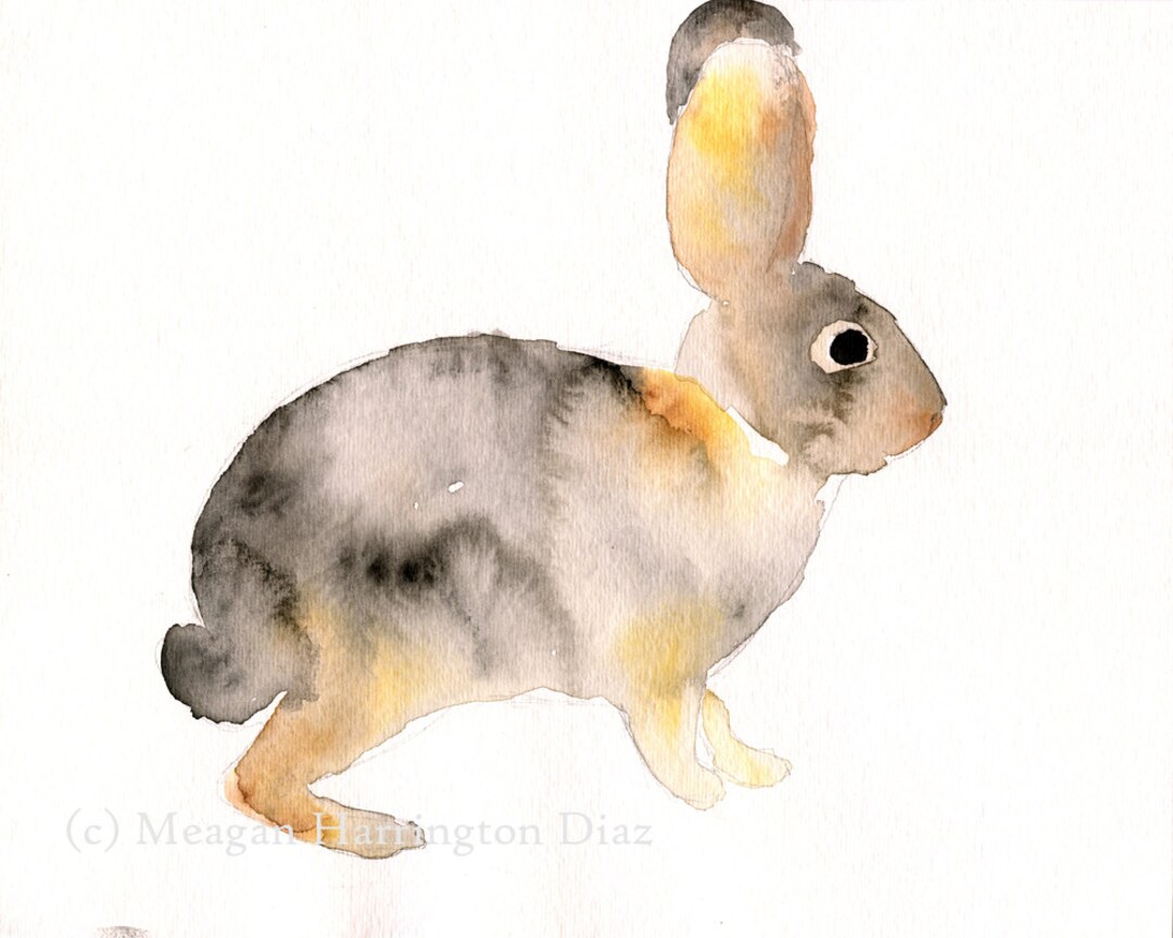 Watercolor Rabbit - Desert Cottontail - Bunny Painting - Southwest Art ...