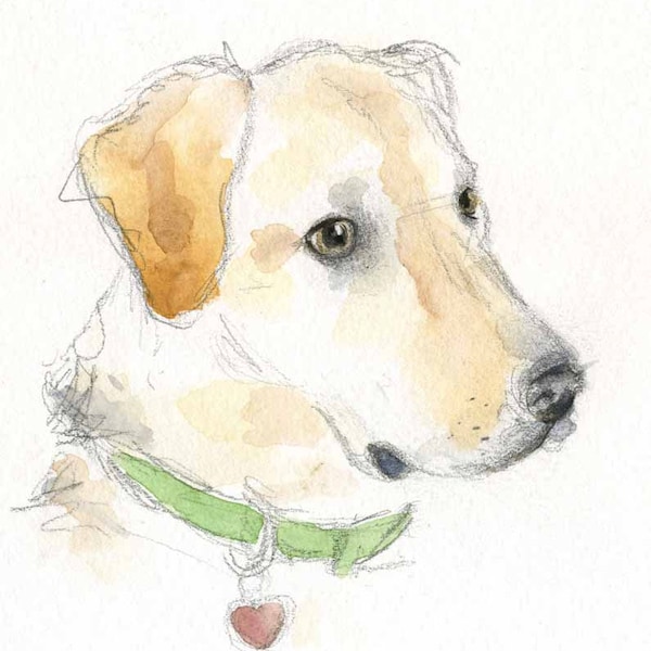 Yellow Lab Painting - Etsy