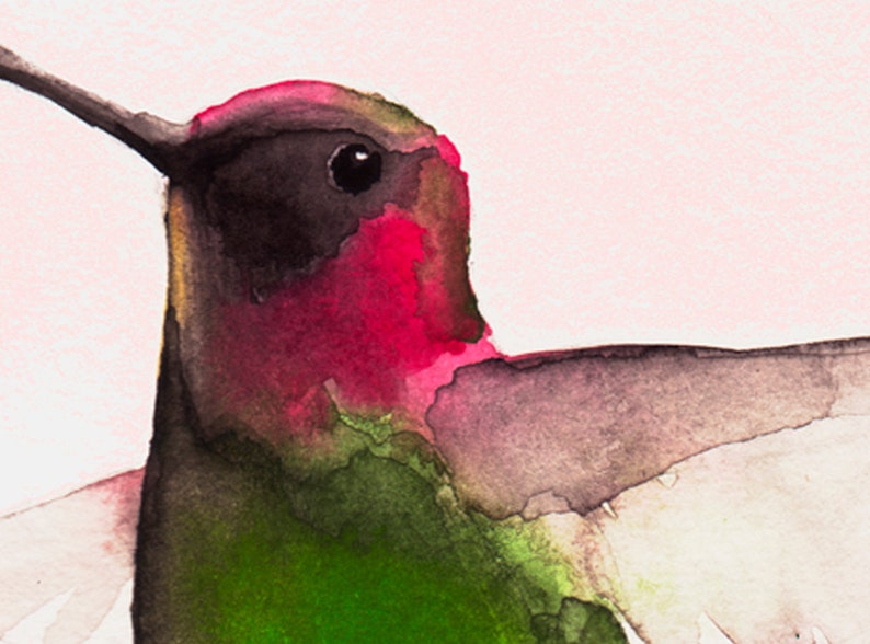 Hummingbird Art Annas Hummingbird Fine Art Print Bird - Etsy