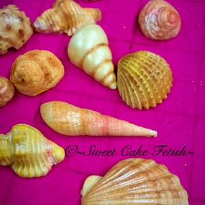 Fondant Sea Shells and Large Wave Heart Cake Toppers Gumpaste Sea ...