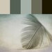 Feather Still Life Photography, Neutral and Teal Feather Wall Decor ...