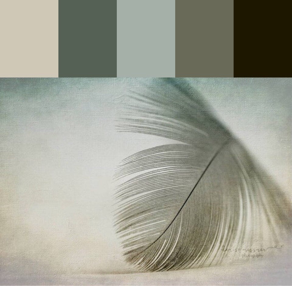 Feather Still Life Photography, Neutral and Teal Feather Wall Decor ...