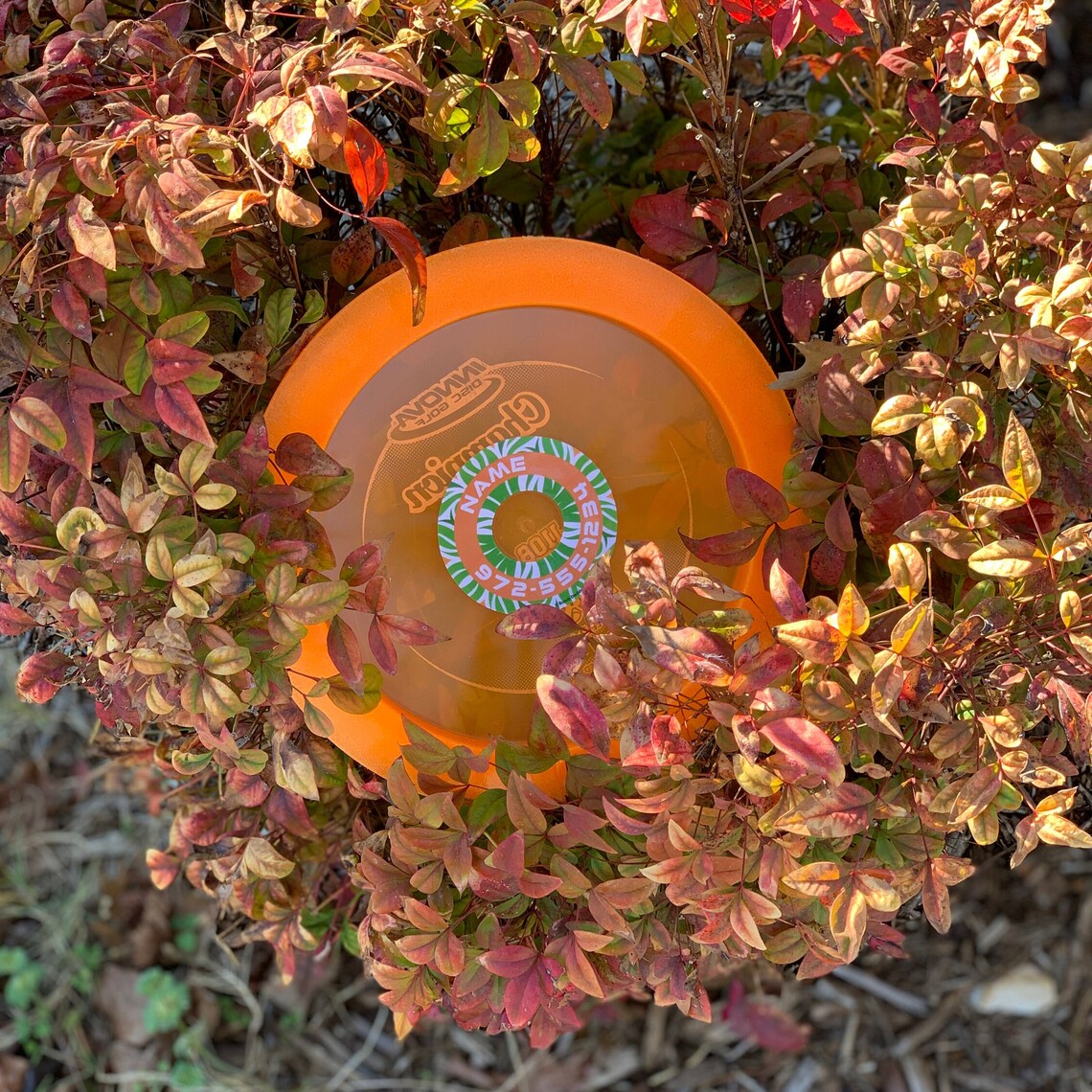 Disc Golf Labels 12 SERIES 1 Personalized - Etsy