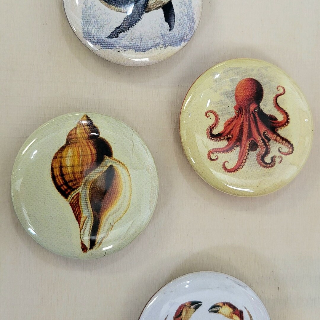 Handmade Magnet Set Ocean Animals Whale Octopus Shell Crab Set of 4 ...