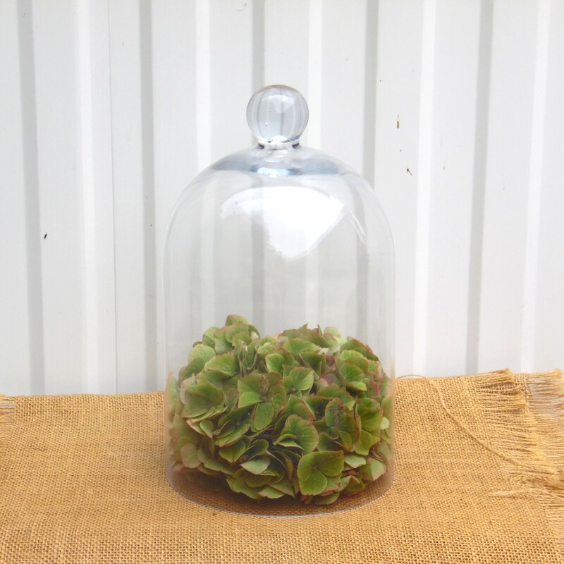 Large Glass Domes - Etsy