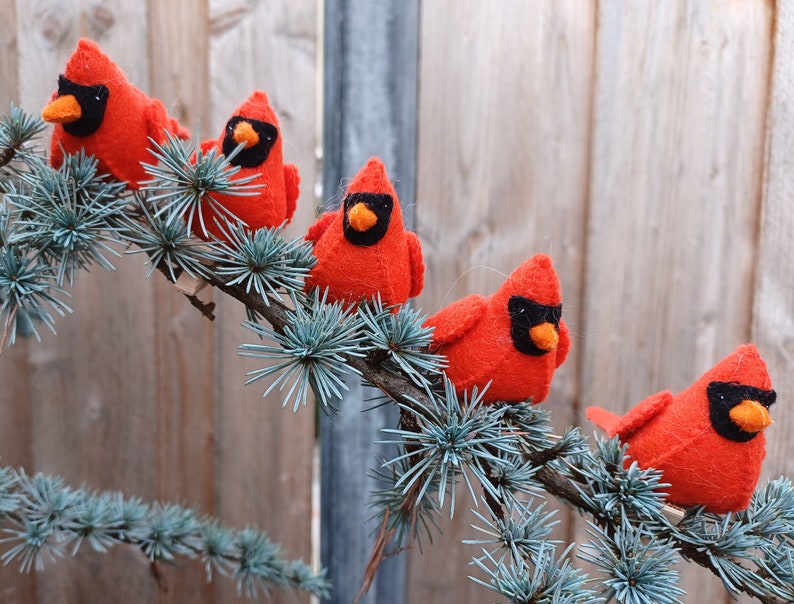 Red Cardinals - DIY Kit - Etsy