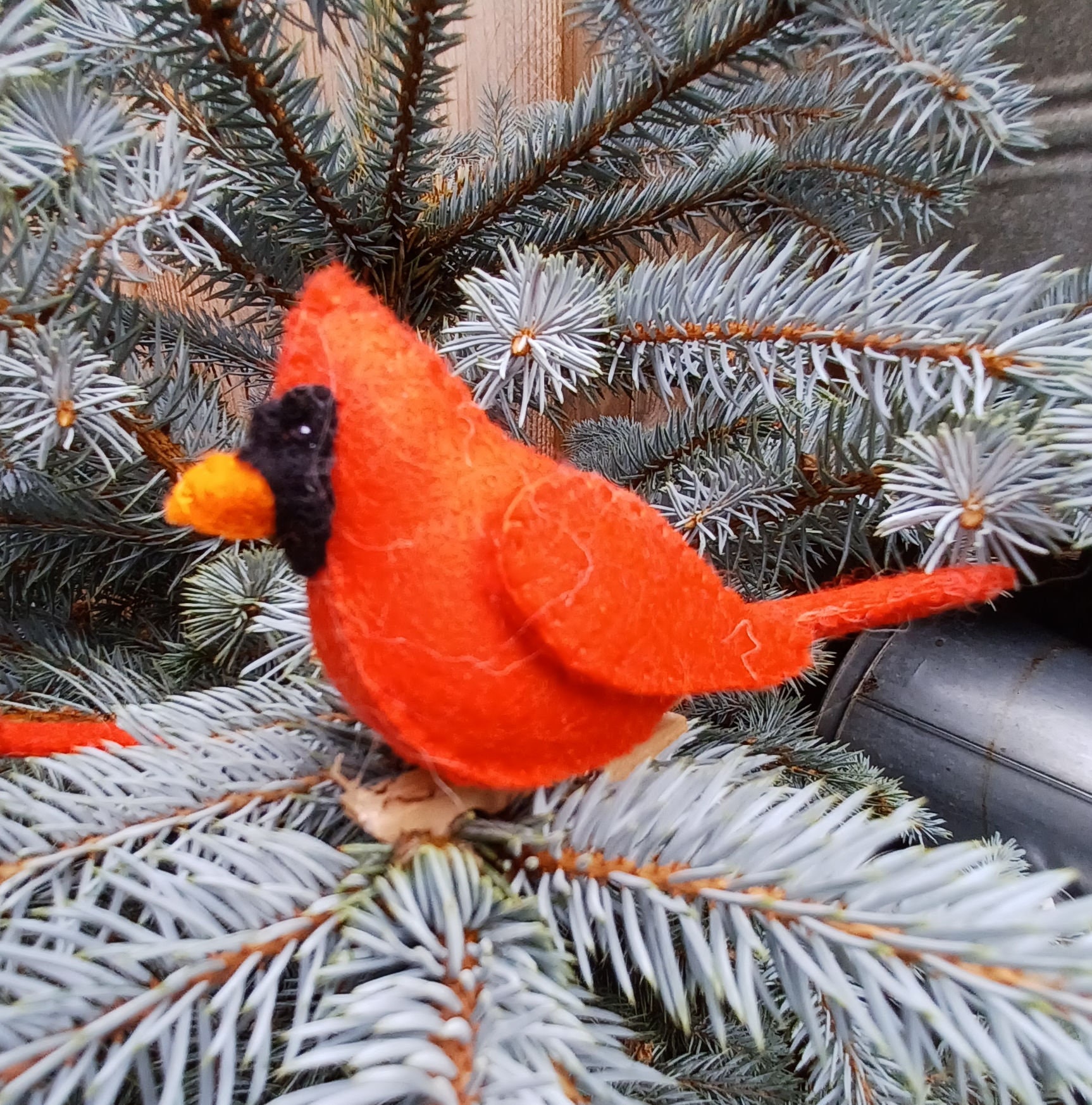 Red Cardinals - DIY Kit - Etsy