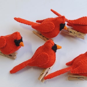 Red Cardinals - DIY Kit - Etsy