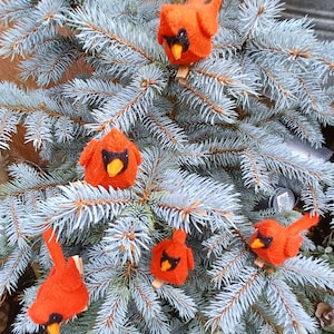 Red Cardinals - DIY Kit - Etsy