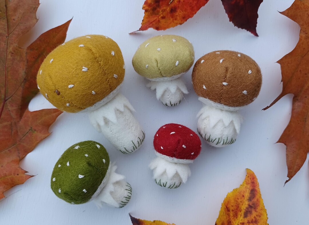 Mushrooms, 5 Variations - DIY Kit - Sewing Kit - Etsy