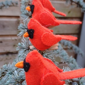 Red Cardinals - DIY Kit - Etsy