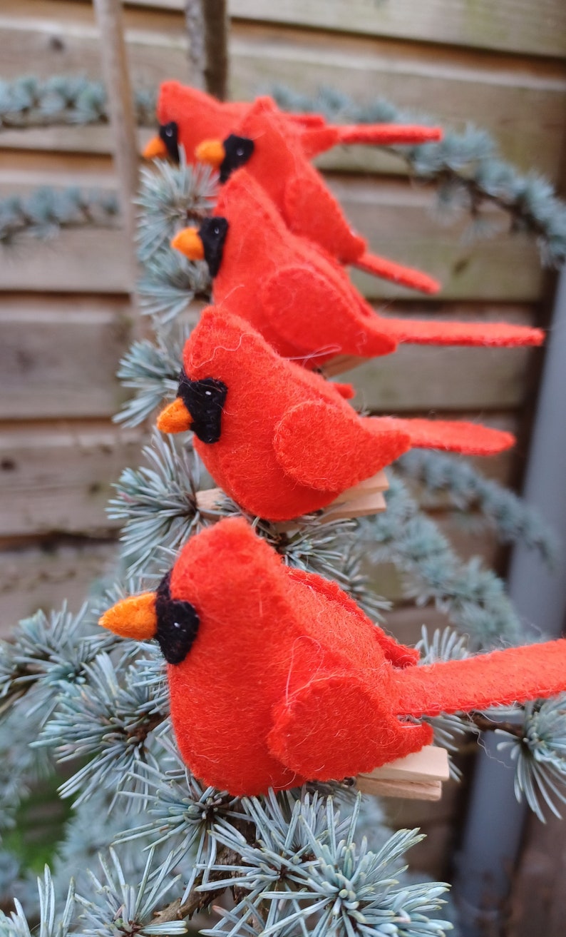 Red Cardinals - DIY Kit - Etsy