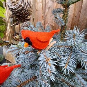 Red Cardinals - DIY Kit - Etsy