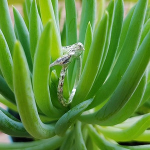 Two Birds Ring, Sterling Silver Ring, Dainty Thin Ring, Stacking Ring ...