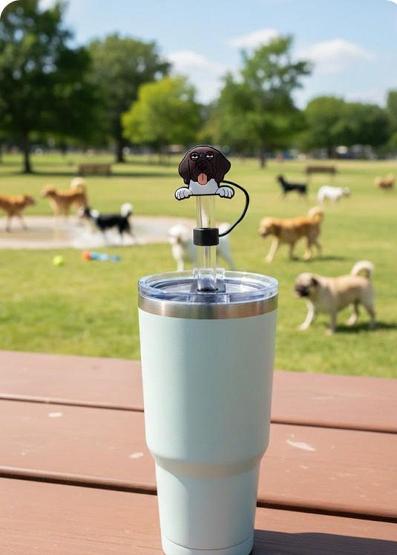 German Shorthaired Pointer Straw Topper: 10mm Large Tumbler-style Cup ...