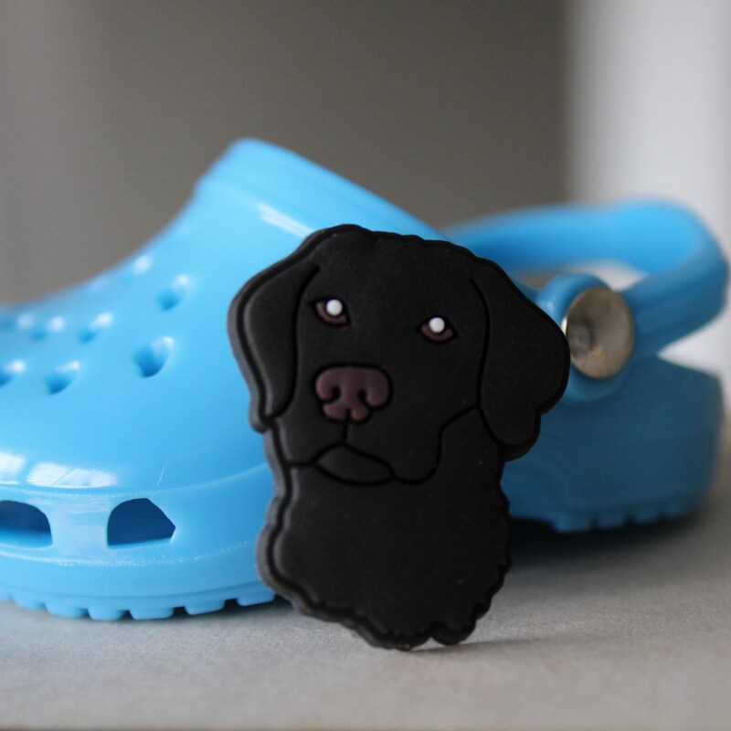 Black Labrador - Etsy