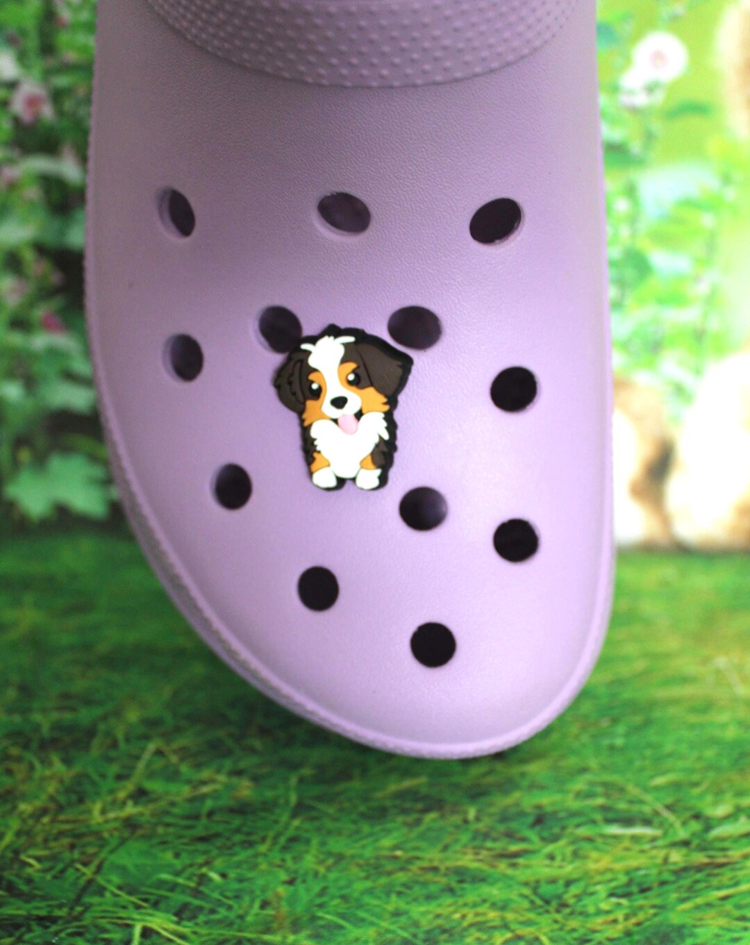 Mini Tri Color Aussie Puppy Shoe Charm for Clogs - Etsy